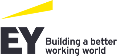 EY Digital Support